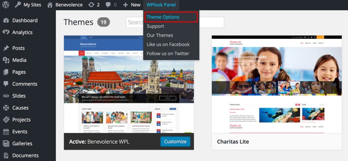What are Theme Options? - WPlook Documentation