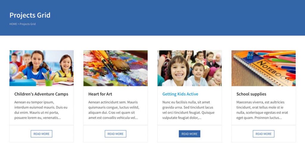 Displaying Projects - WPlook Documentation