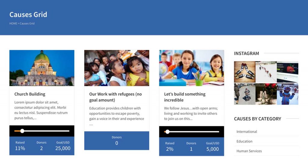 Displaying Causes - WPlook Documentation