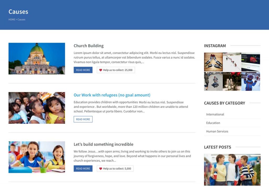 Displaying Causes - WPlook Documentation