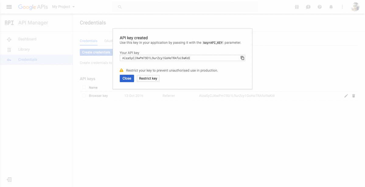 Google Maps Settings - WPlook Documentation