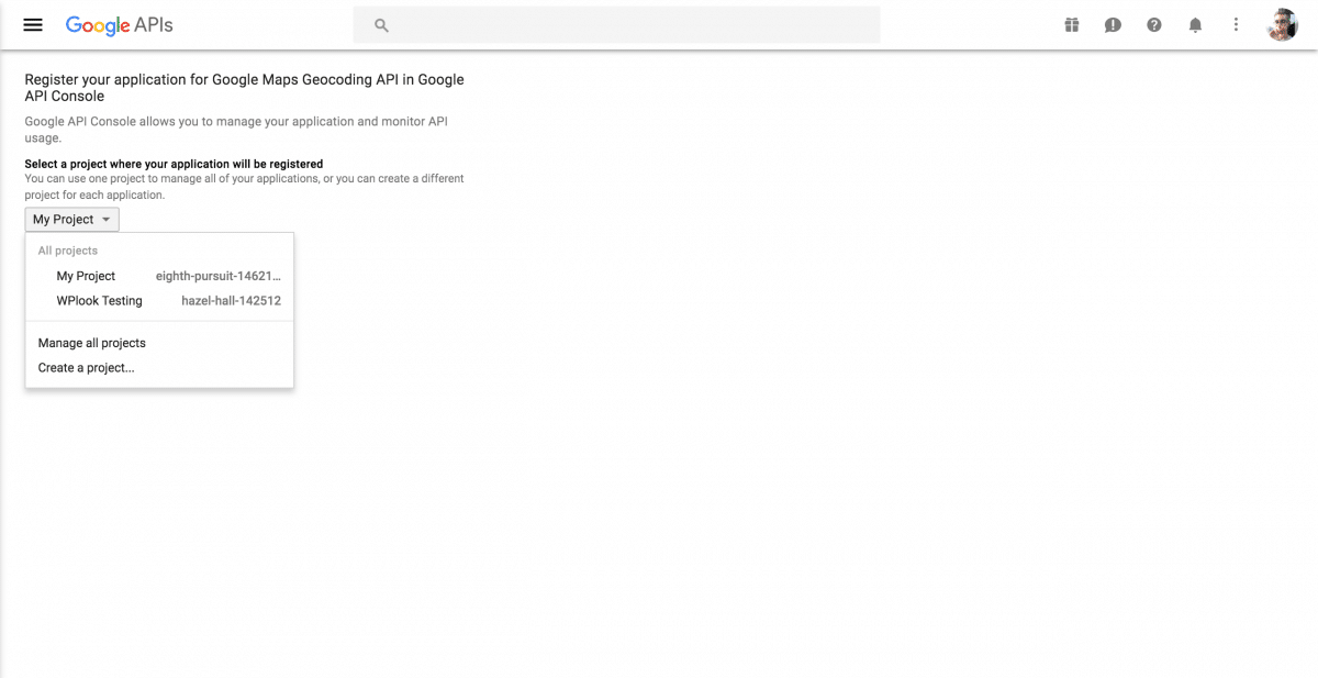Google Maps Settings - WPlook Documentation