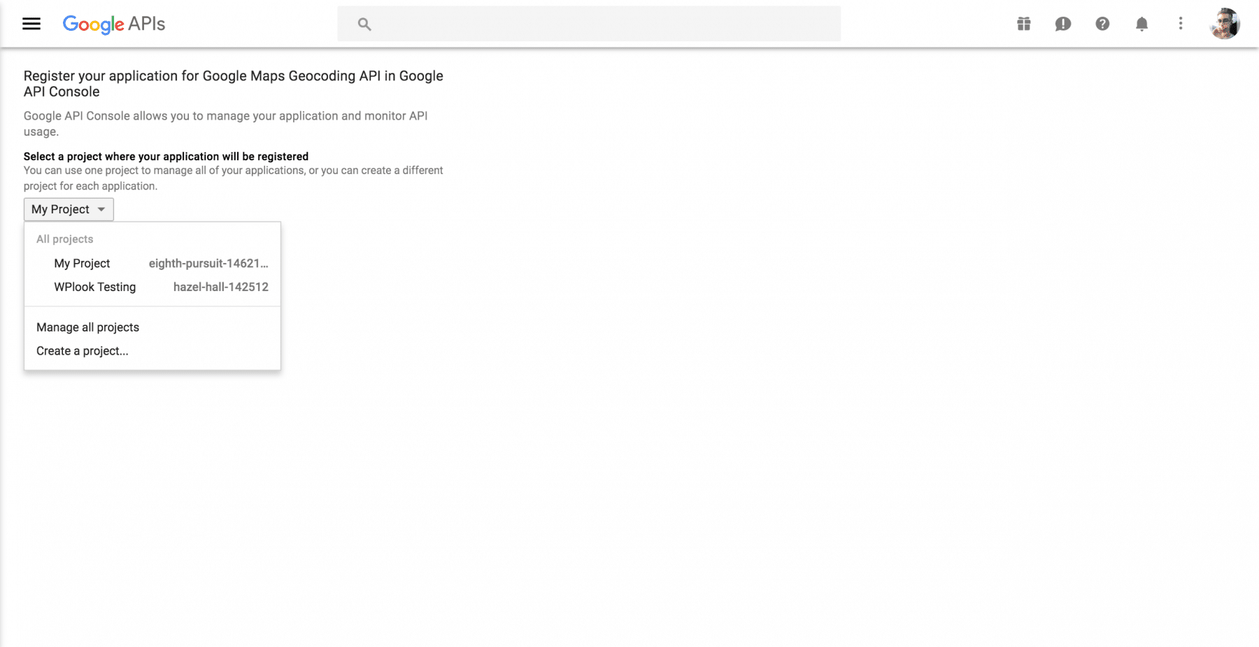 Google Maps Settings - WPlook Documentation