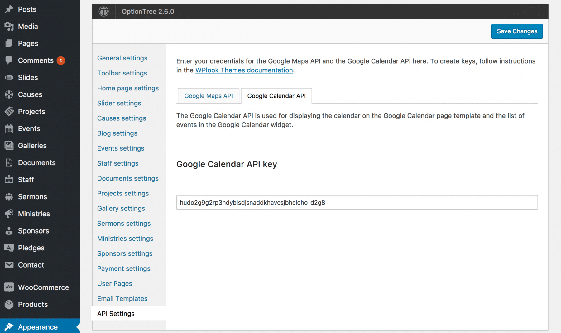 Google Maps Settings - WPlook Documentation
