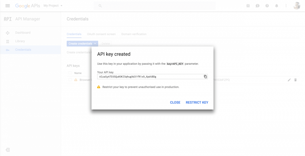 Google Maps Settings - WPlook Documentation