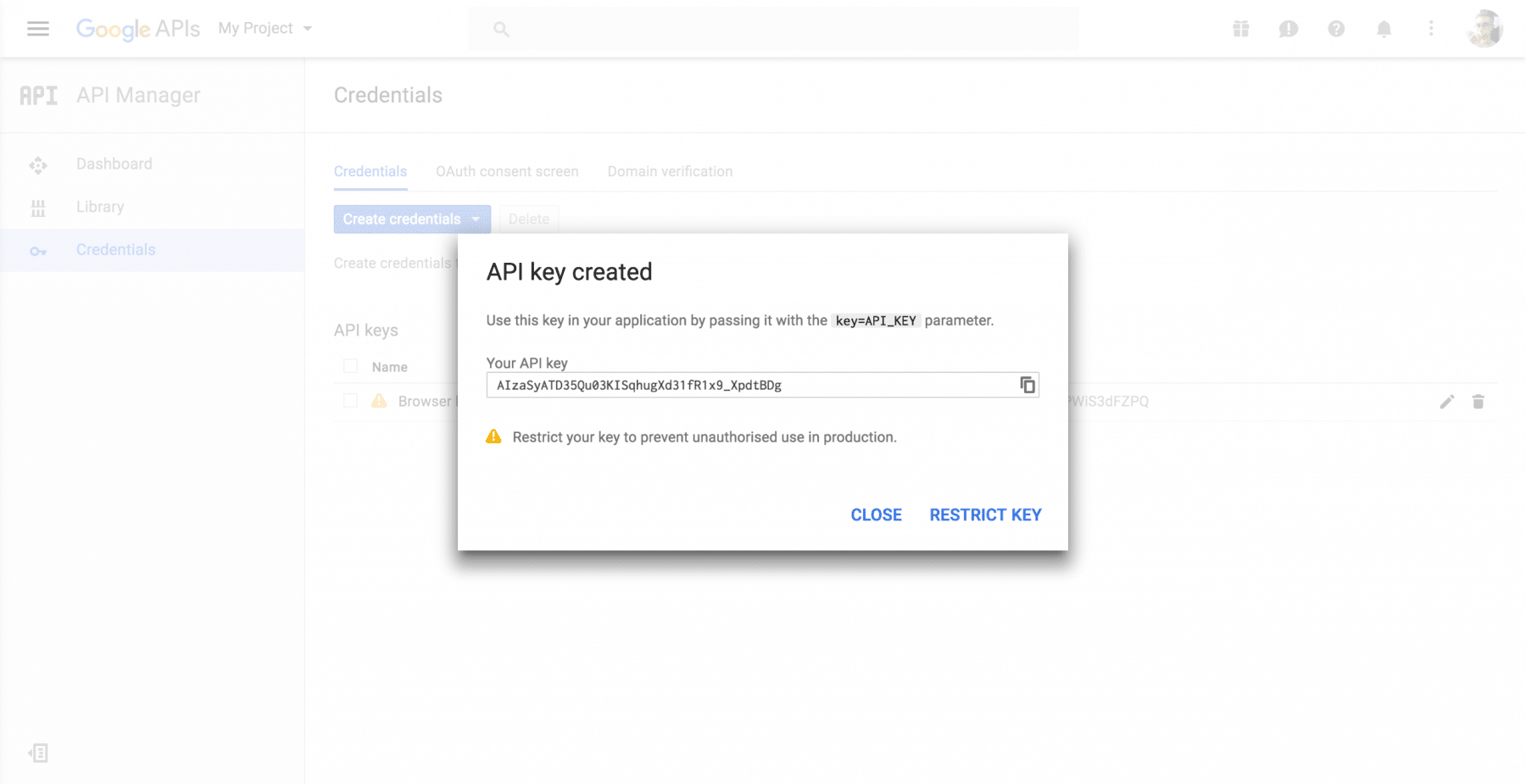 Google Maps Settings - WPlook Documentation