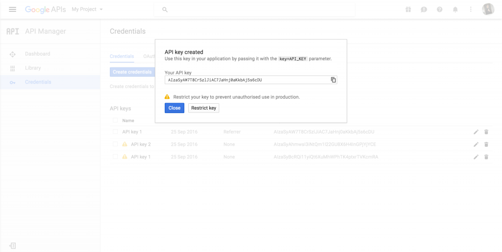 Google Maps Settings - WPlook Documentation