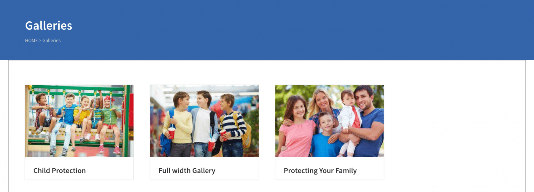 Displaying Galleries - WPlook Documentation