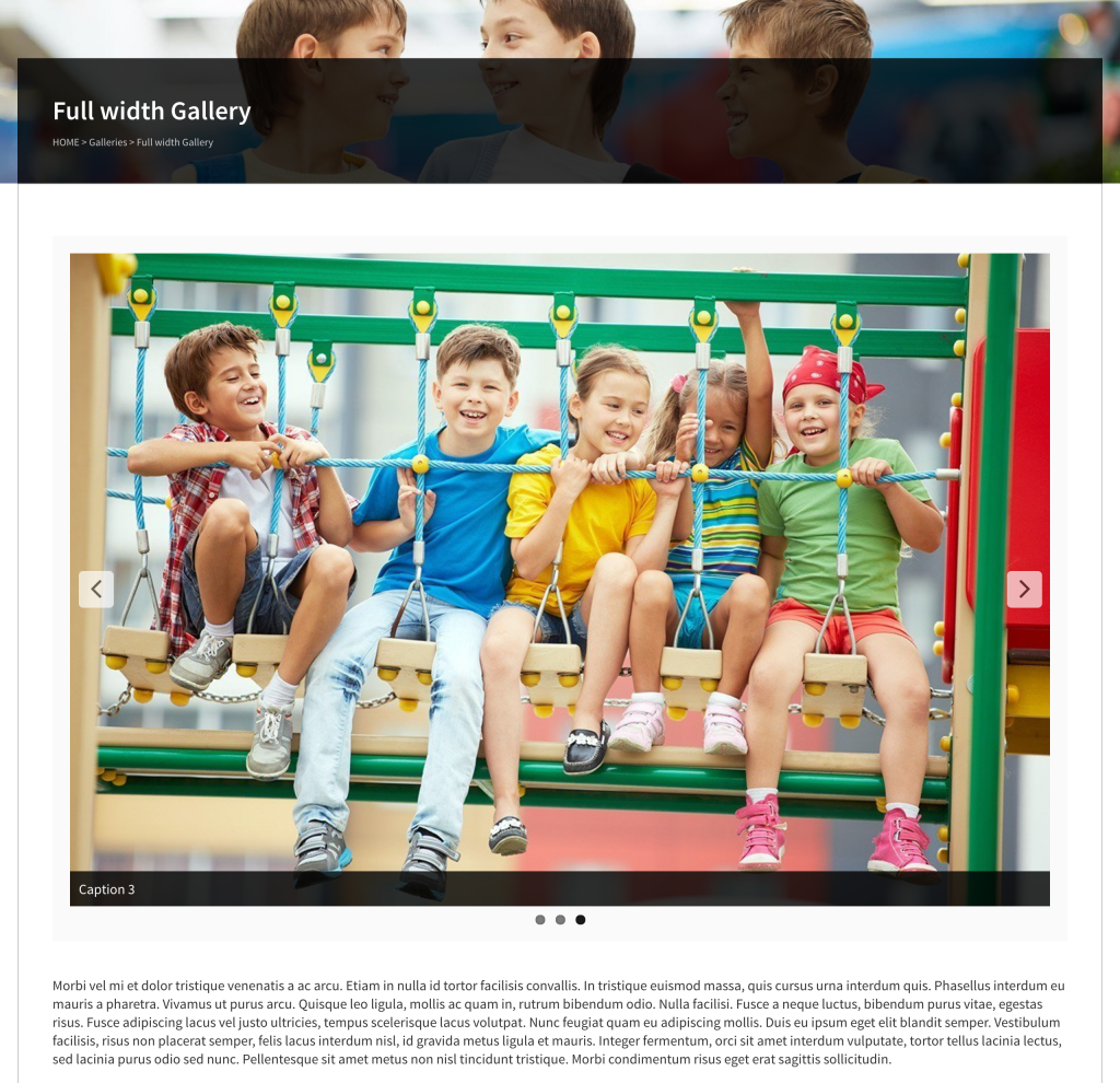 All Galleries - WPlook Documentation
