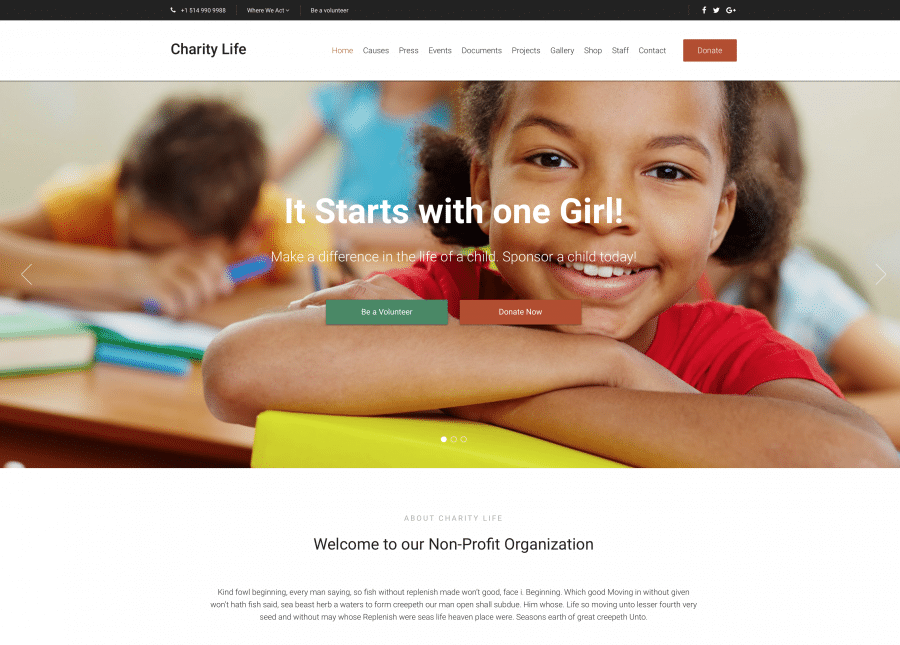 About Charity Life - WPlook Documentation