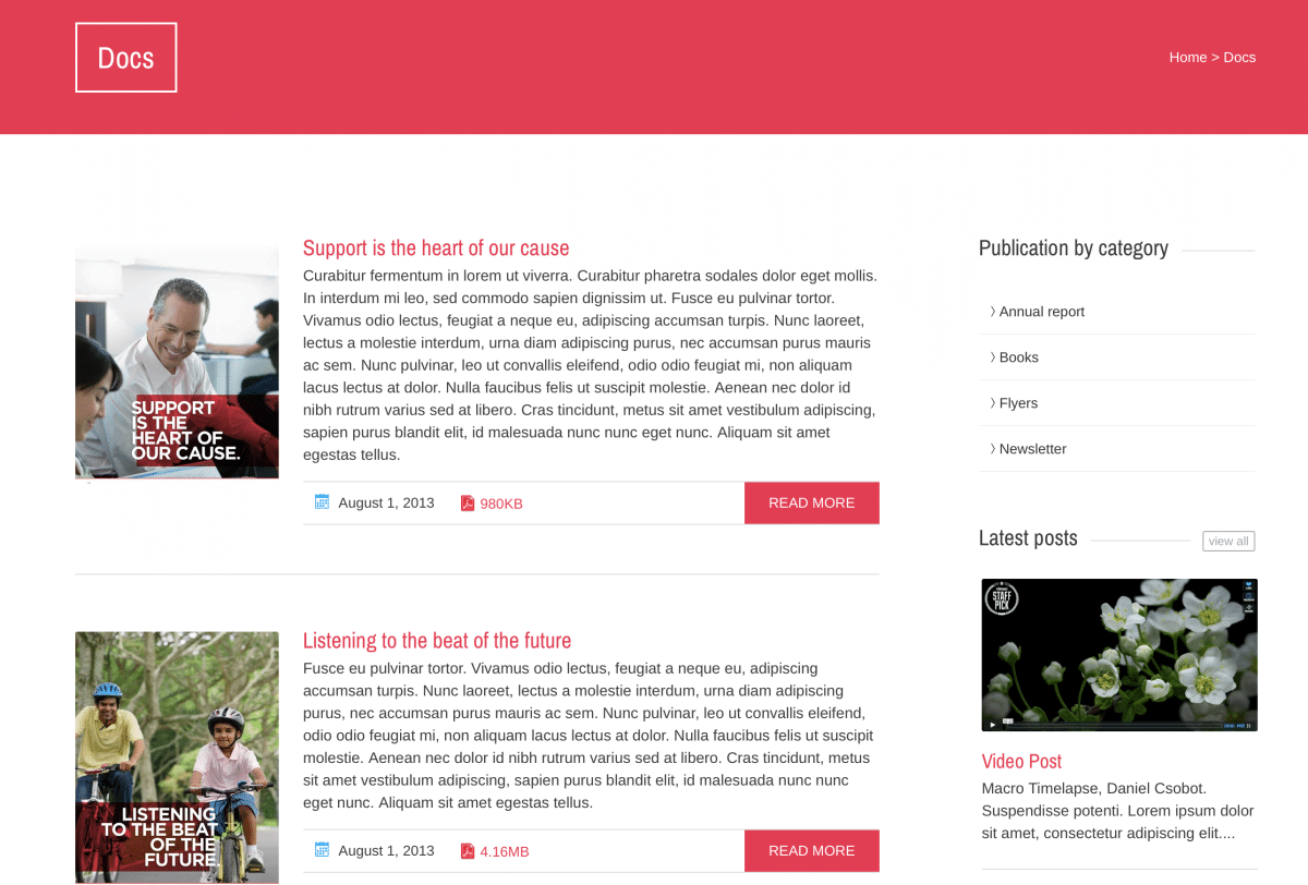 Publications Settings - WPlook Documentation