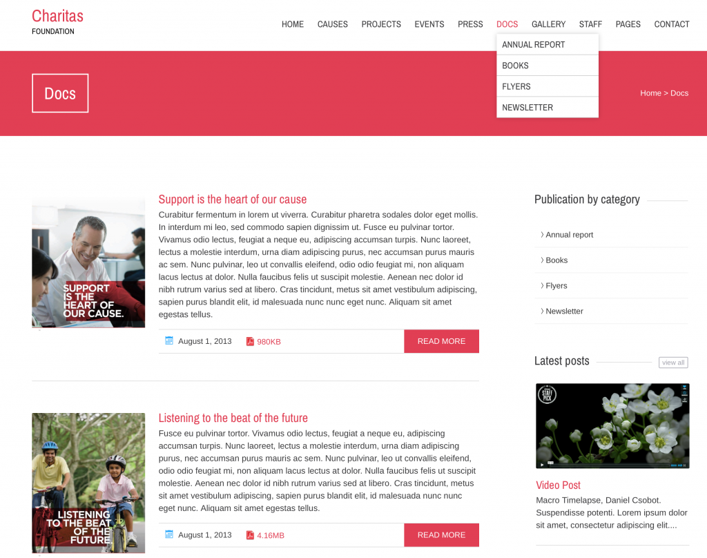 Documents - WPlook Documentation