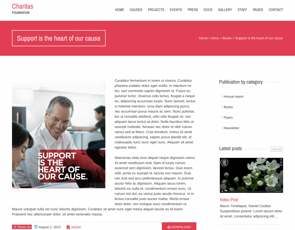 Add New Document - WPlook Documentation