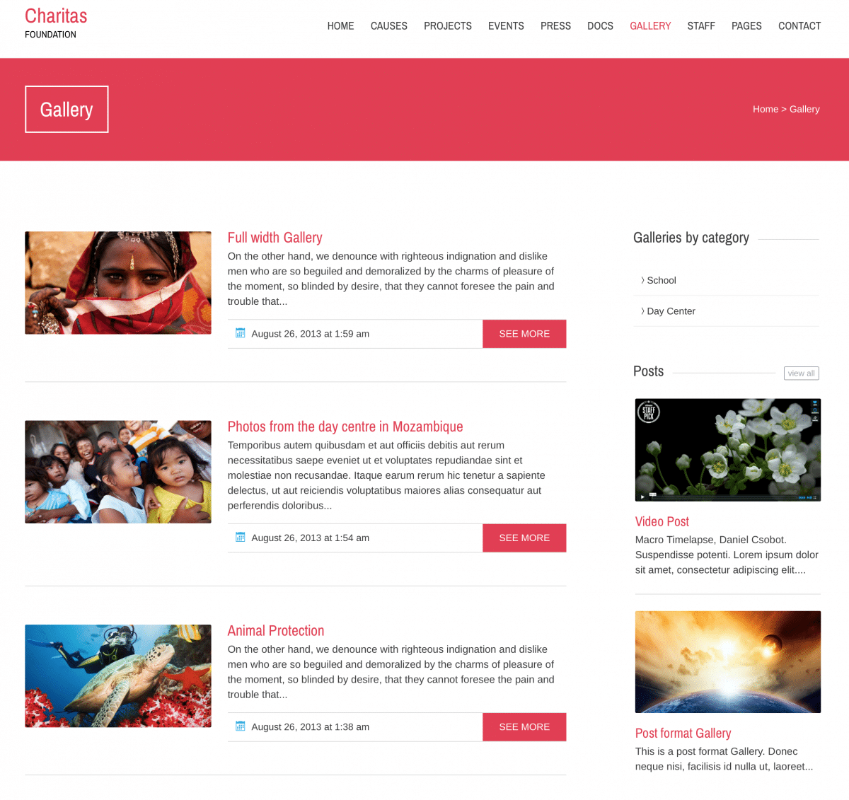 Galleries - WPlook Documentation