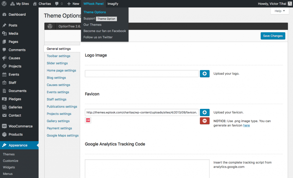What are Theme Options? - WPlook Documentation