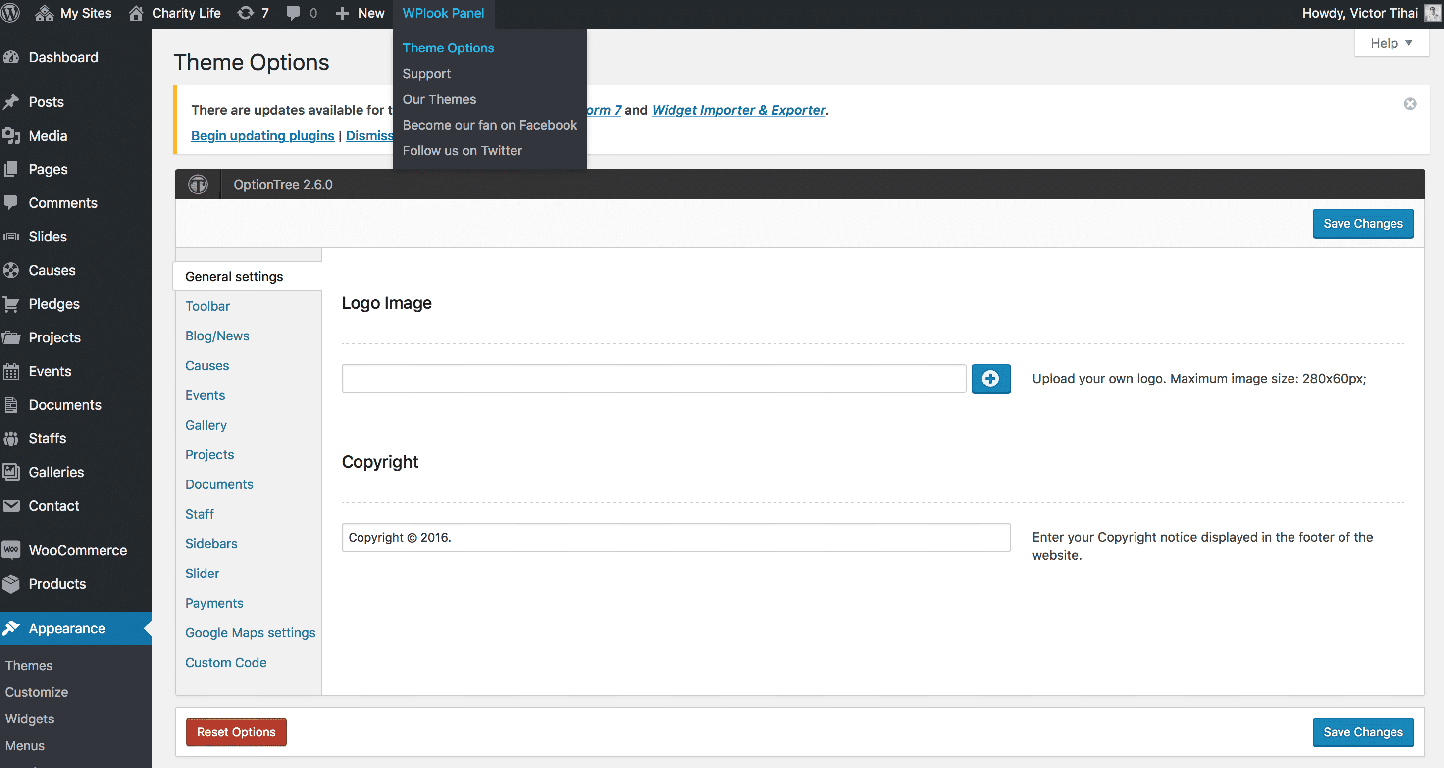 theme-options - WPlook Documentation