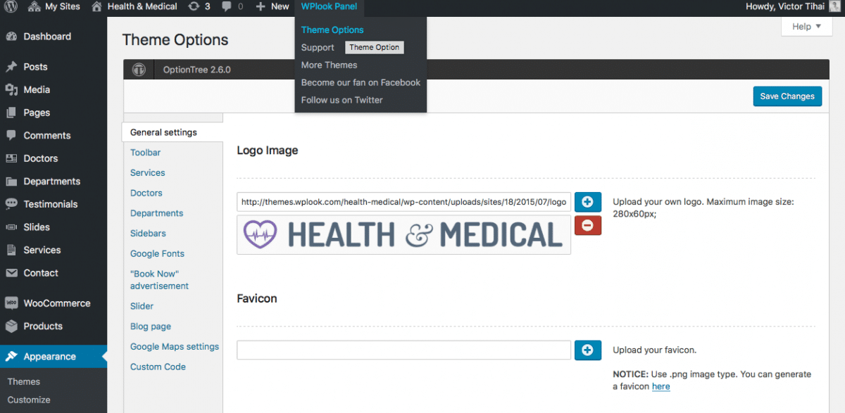 What are Theme Options? - WPlook Documentation