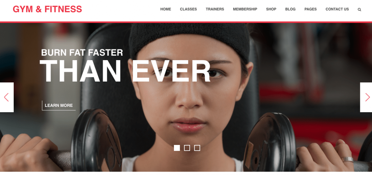 About Gym & Fitness - WPlook Documentation