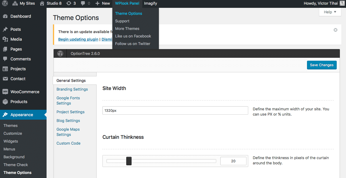 theme options - WPlook Documentation