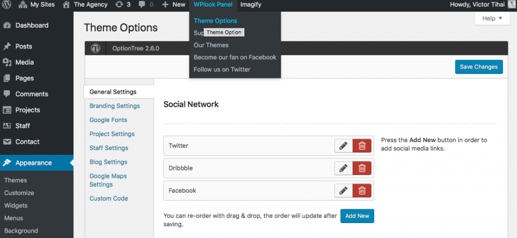What are Theme Options? - WPlook Documentation