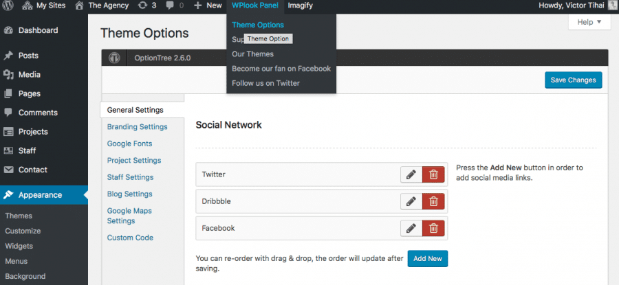 What are Theme Options? - WPlook Documentation