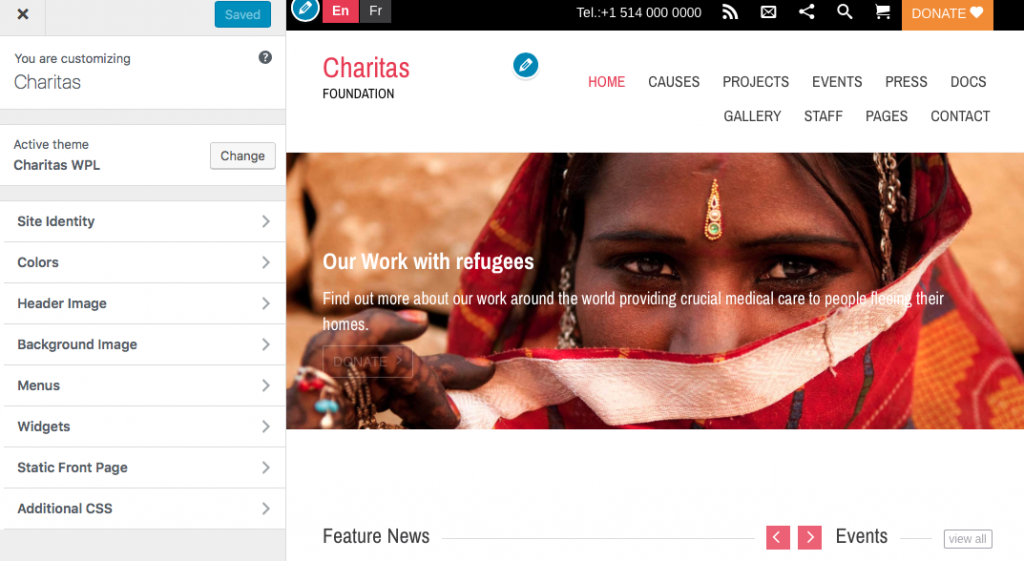 Customizer - WPlook Documentation