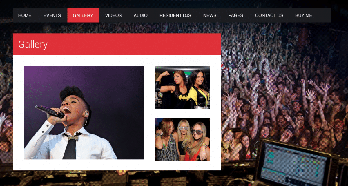 Galleries - WPlook Documentation