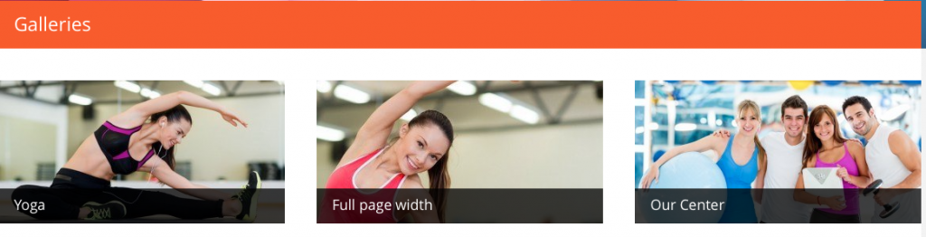 Galleries - WPlook Documentation