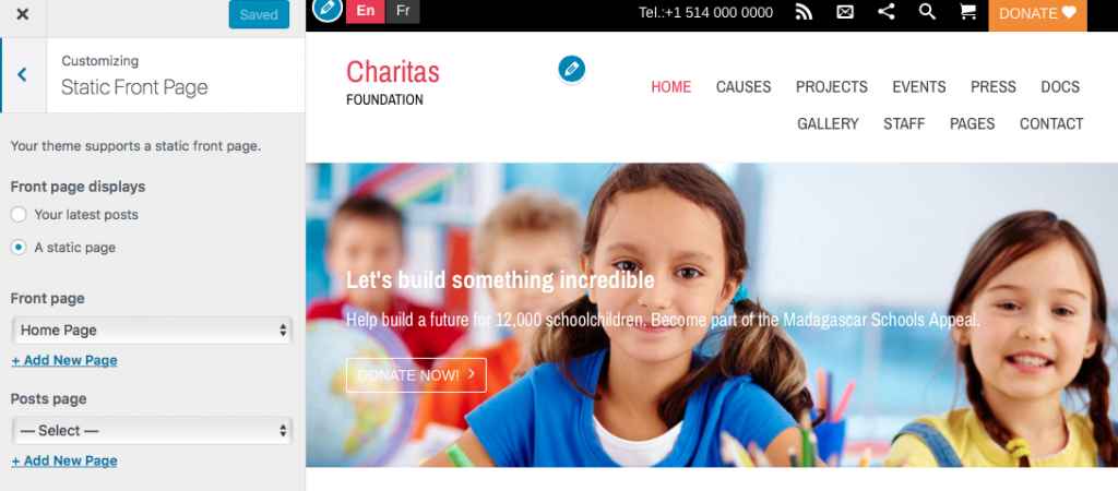 Customizer - WPlook Documentation