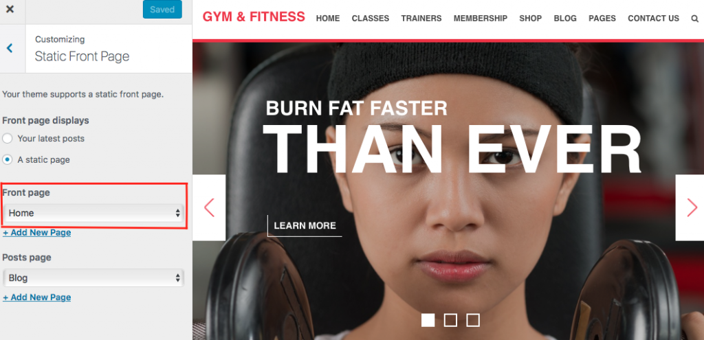 Customizer - WPlook Documentation