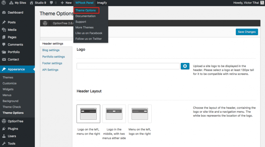 What are Theme Options? - WPlook Documentation