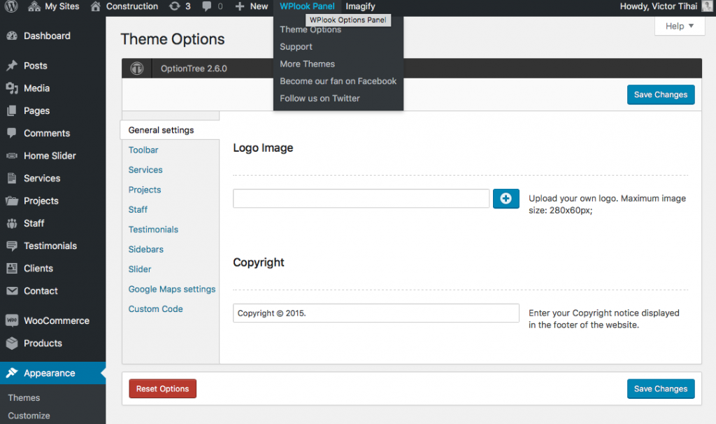 What are Theme Options? - WPlook Documentation