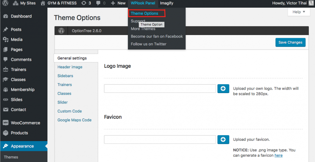 What are Theme Options? - WPlook Documentation