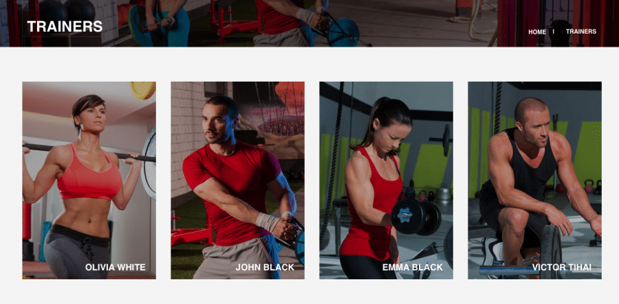 Trainers - WPlook Documentation