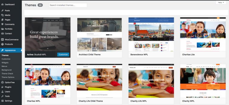 Theme Installation - WPlook Documentation