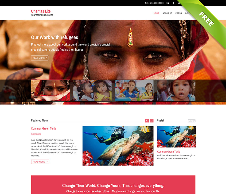 Best Free WordPress Themes for Charity/Nonprofit - WPlook Studio